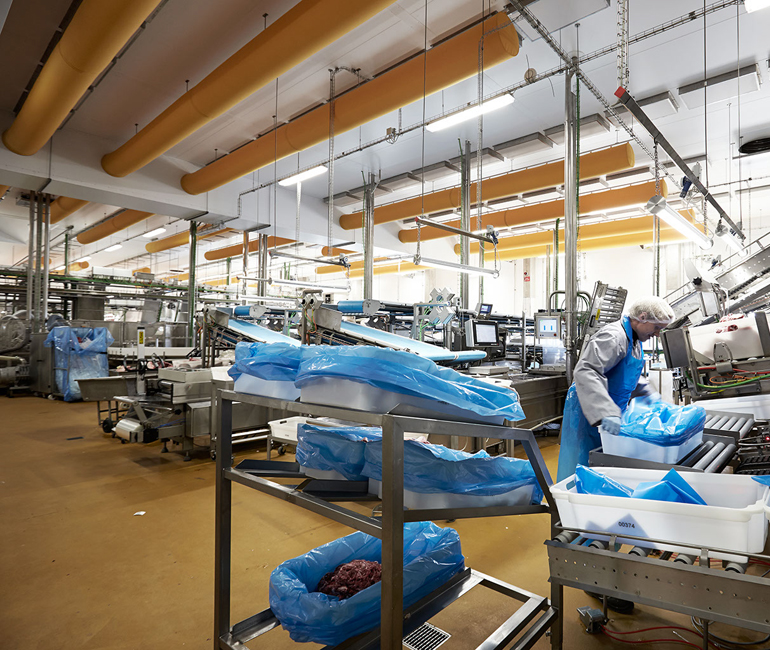 Danish Crown, Holsted