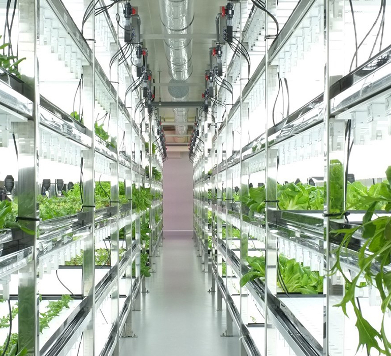 Vertical farming, sustainability, vertical farm,