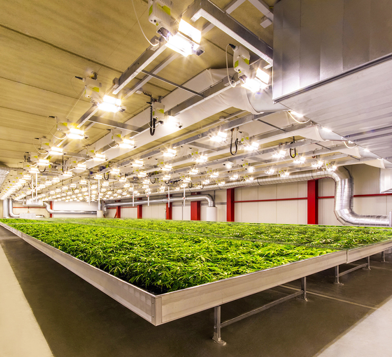 Vertical farming, sustainability, vertical farm,