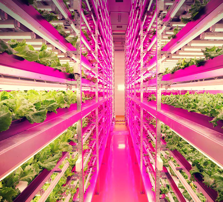 Vertical farming, sustainability, vertical farm,